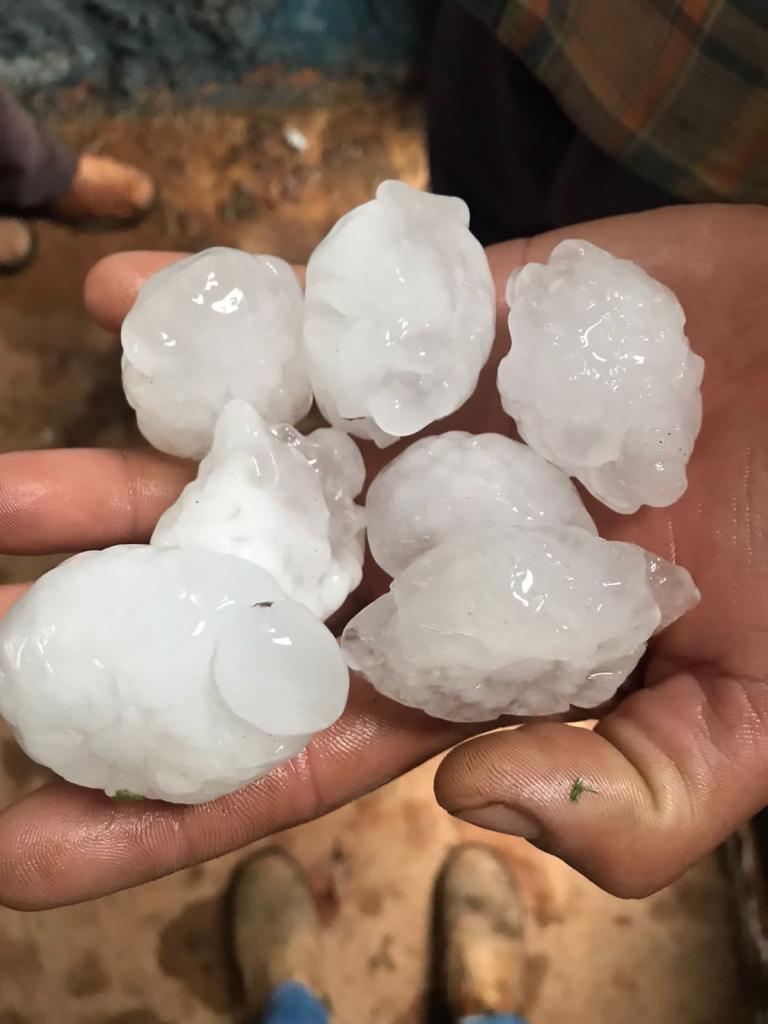 Chuvas De Granizo Em Novembro Já Atingiram 51 Mil Hectares De Lavouras