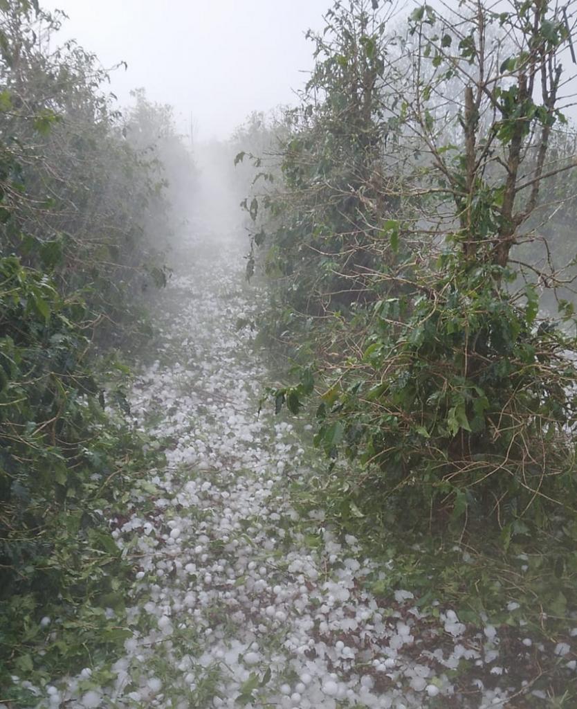 Chuvas De Granizo Em Novembro Já Atingiram 51 Mil Hectares De Lavouras