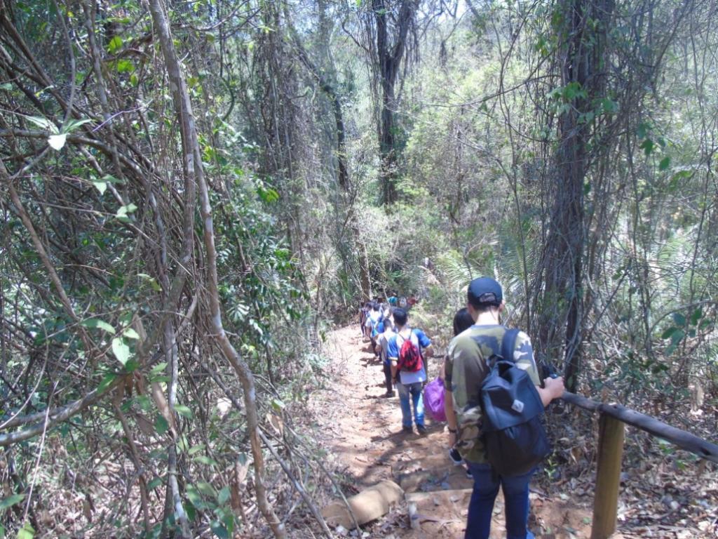 Parque Estadual Do Rio Doce Será O Próximo A Ter Concessão Publicada